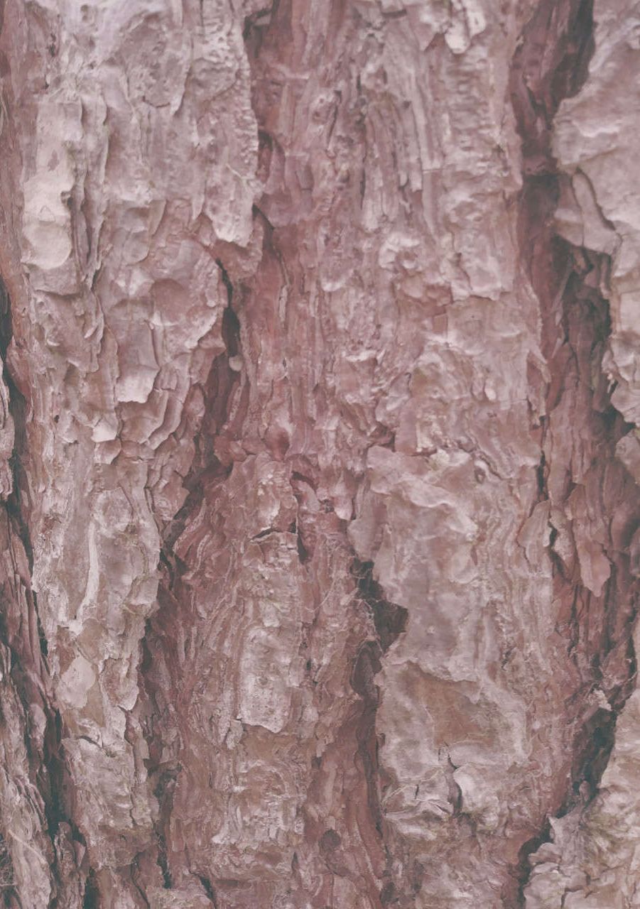 Welcome - Doug Hough